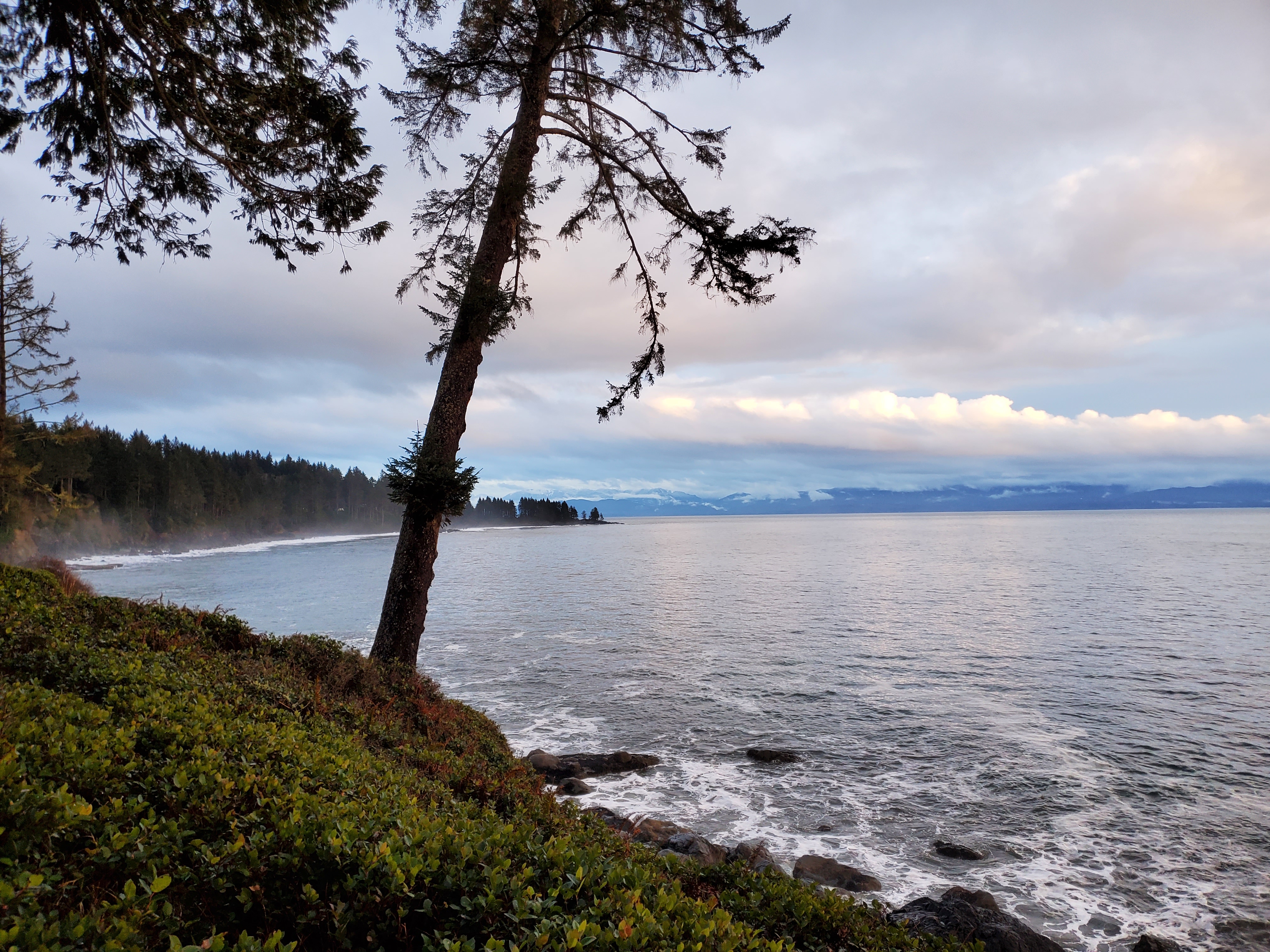 Fossil Bay Resort Cottages: Cozy Local Staycation in Sooke – Les Talk ...
